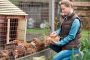 Qué necesito saber para tener gallinas en casa - El Blog de Aosom.es